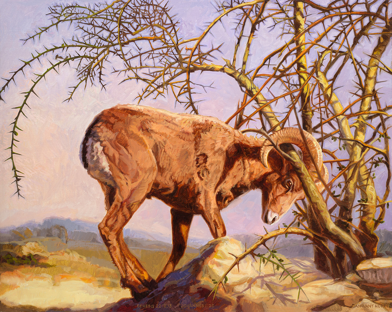 The Ram On The Mountains Of Moriah Gospelimages